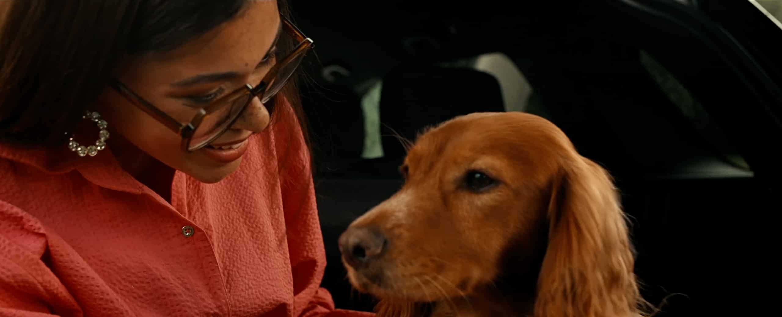 Driving with your pets and learn the BARK guidelines | Discovery