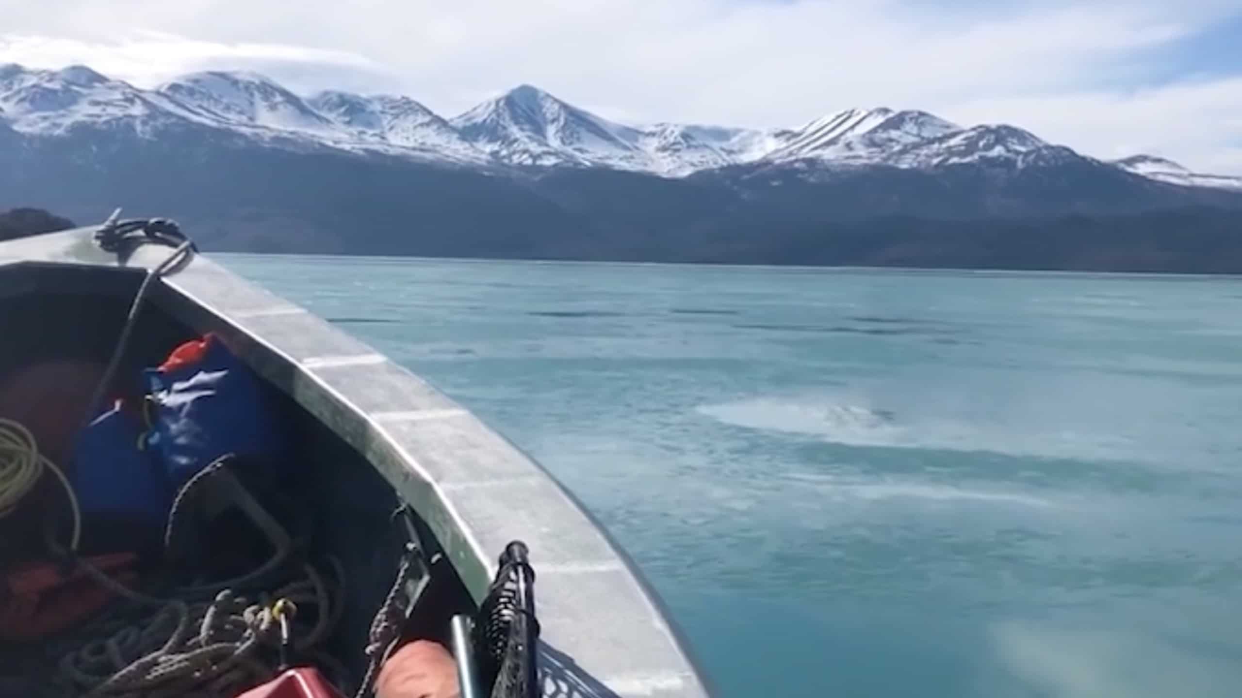 Search & Rescue | Defender Service Awards | Land Rover USA